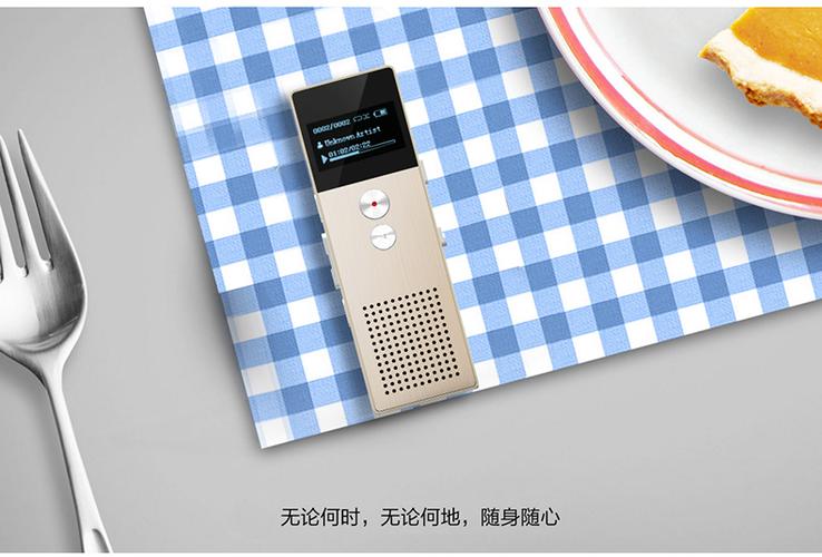手机麦克风权限双开图标