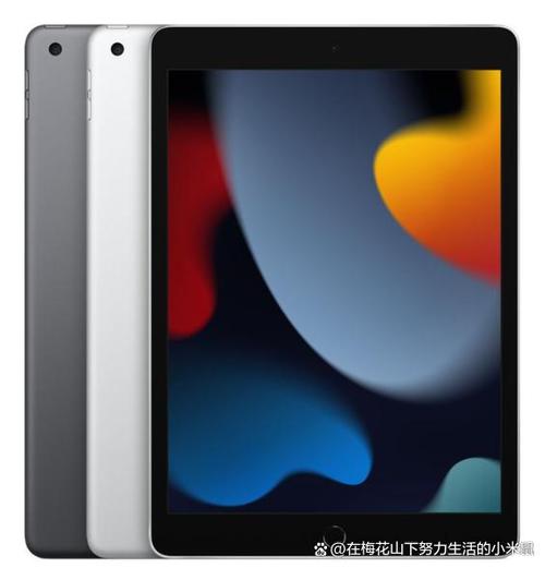 ipad多大内存就够了