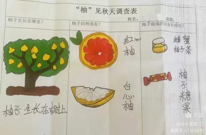柚子个人资料图标