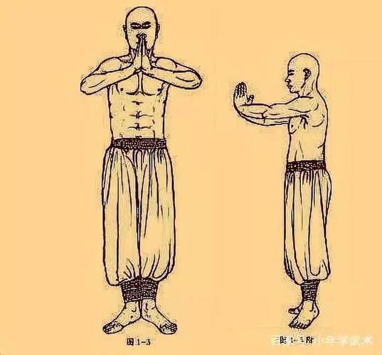 健身气功易筋经教学
