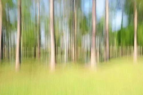照相时画面抖动是什么原因