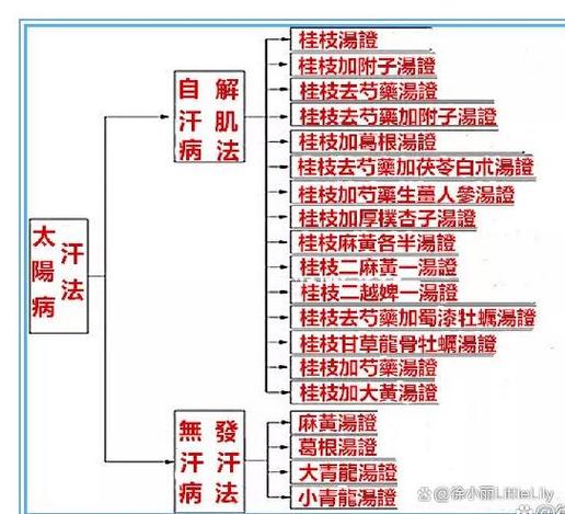 伤寒论113方全解图标