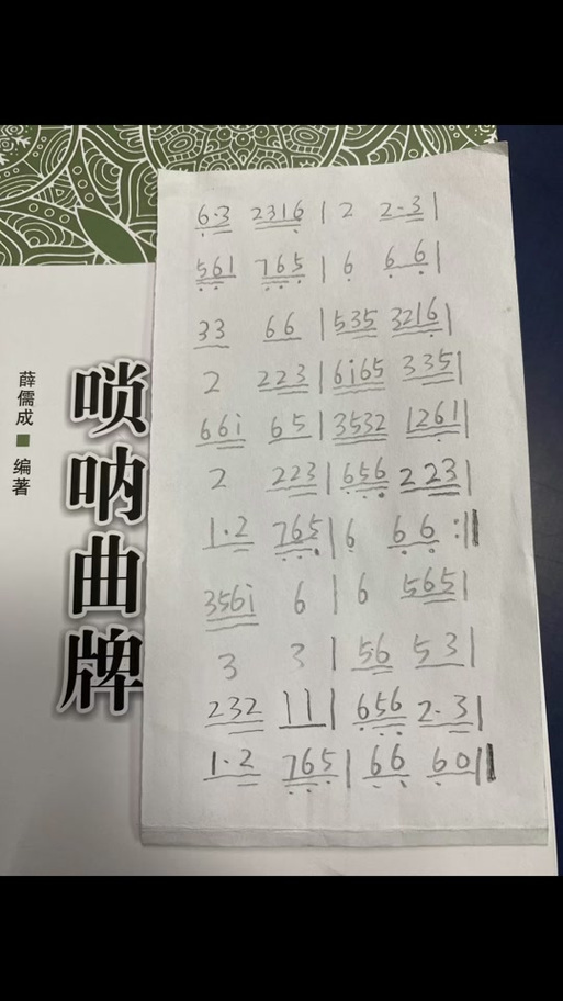 网络唢呐神曲截图
