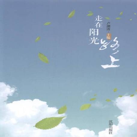 走在阳光路上截图