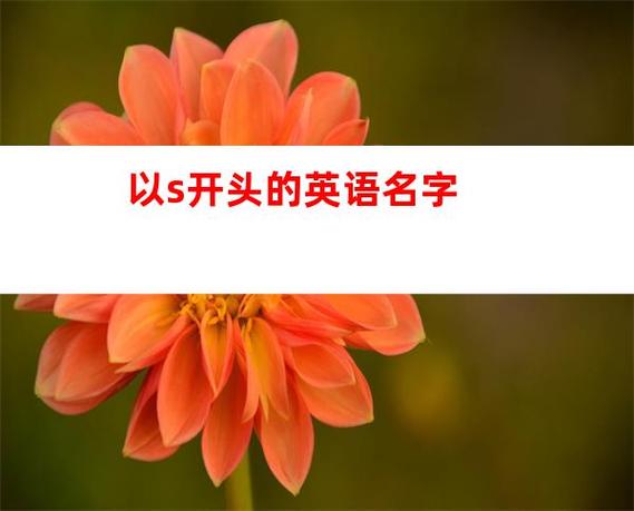 丰富的英语怎么说s开头图标