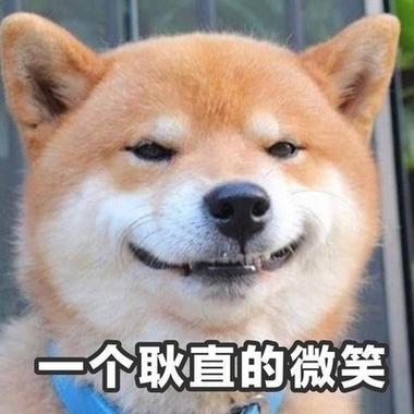 女人发狗表情暗示什么图标