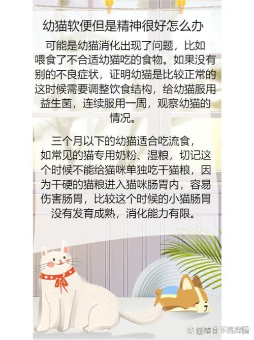 猫猫拉稀但是精神很好怎么办图标