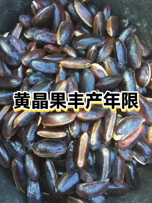 苹果手机专注模式是什么图标
