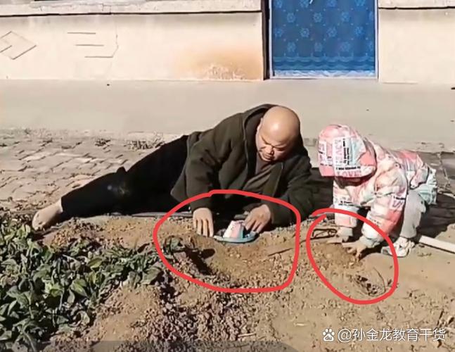 爷爷的农家小院350字图标