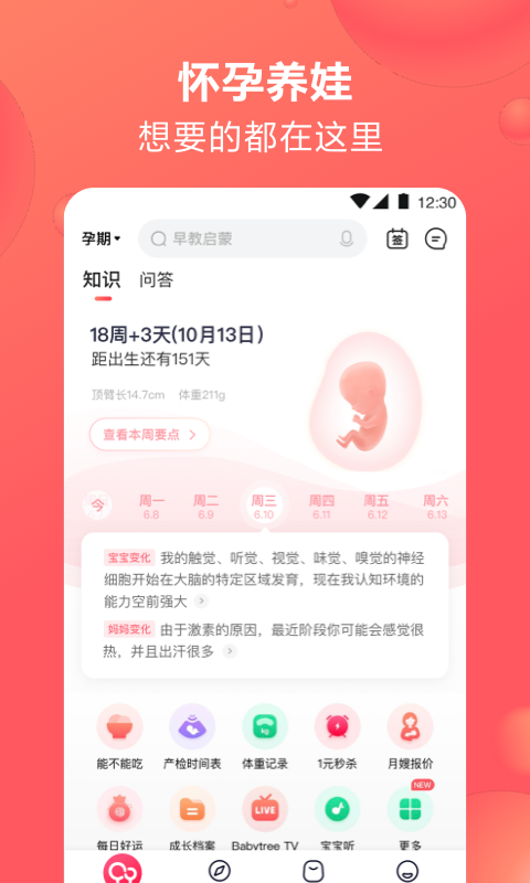 宝宝树网页版图标