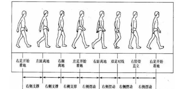 每天走路多了有害处吗