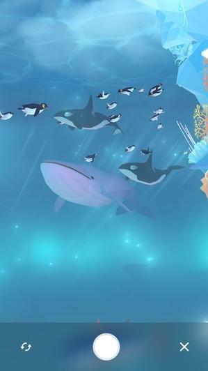 金多多水族馆有提现的吗截图