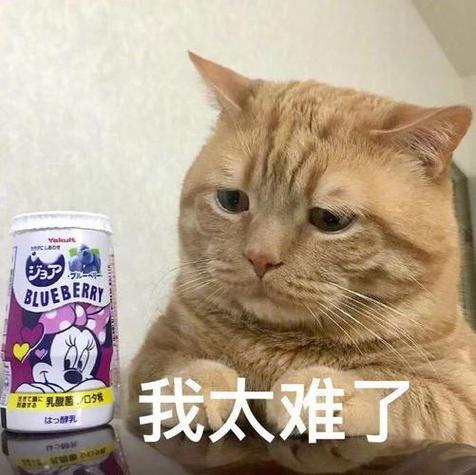 我感觉我太难了表情包截图