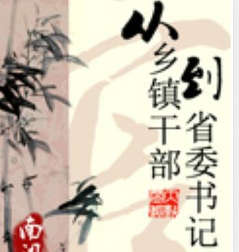 从乡镇到省委书记的仕途小说第二部截图