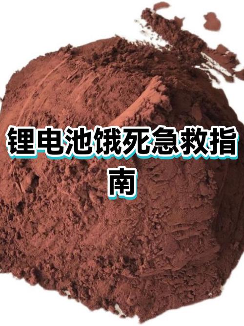 锂电池饿死了还有救吗图标