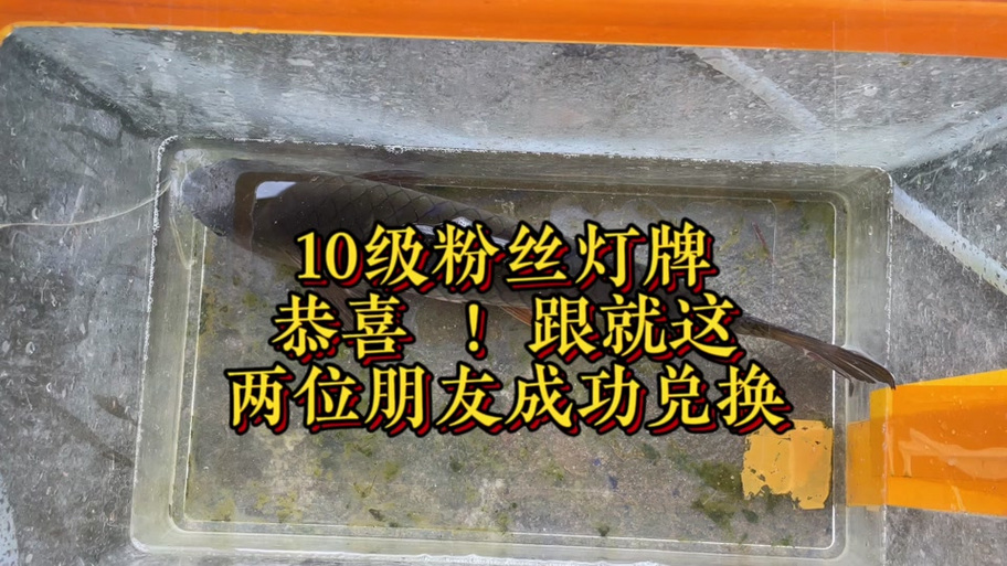 10级灯牌多少钱人民币图标