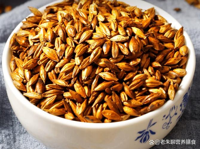 炒麦芽和生麦芽的功效图标