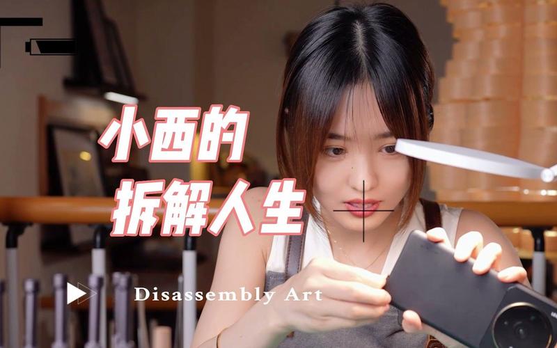 小西的逆转人生txt图标