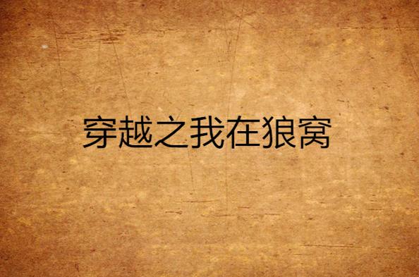 小说林晓晓图标