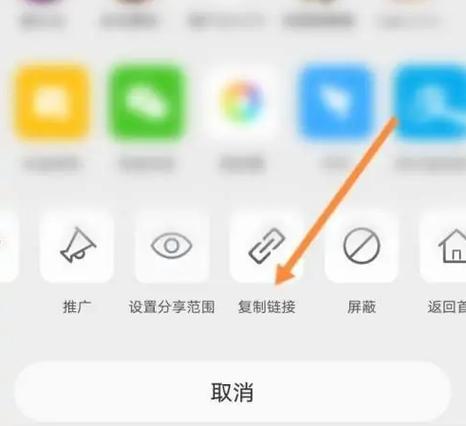 国际版个人微博主页链接怎么复制截图