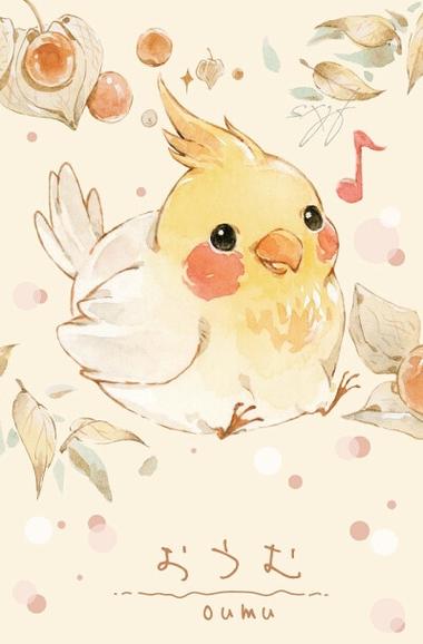 当鸟动漫app官方下载图标