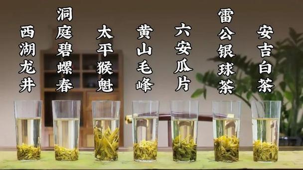绿茶视频官方图标
