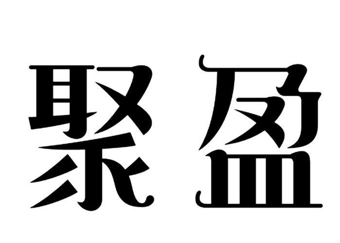 聚盈科技有限公司图标