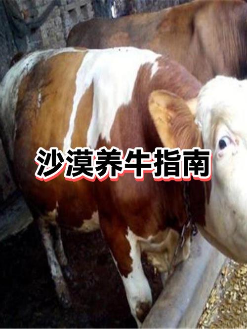 养牛粪水最佳处理方法图标