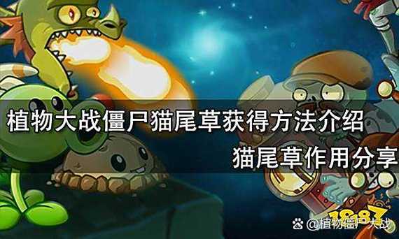 植物大战僵尸二猫尾草怎么获得图标
