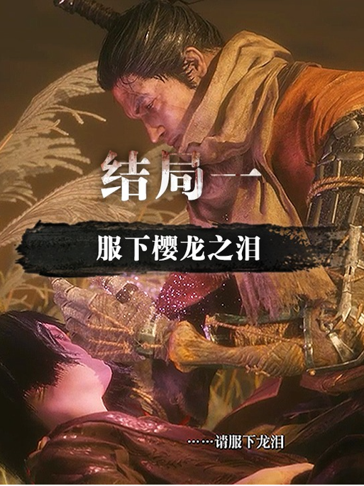 只狼4个结局达成条件图标