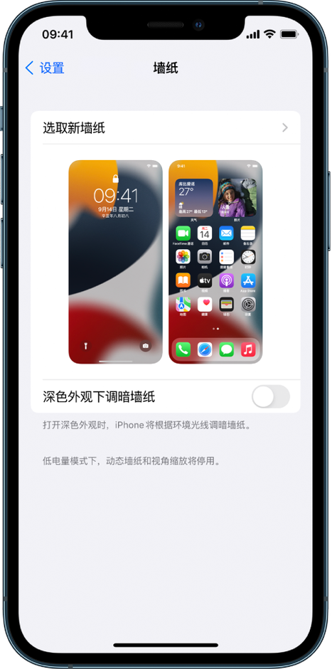 苹果手机主屏按键怎么打开图标