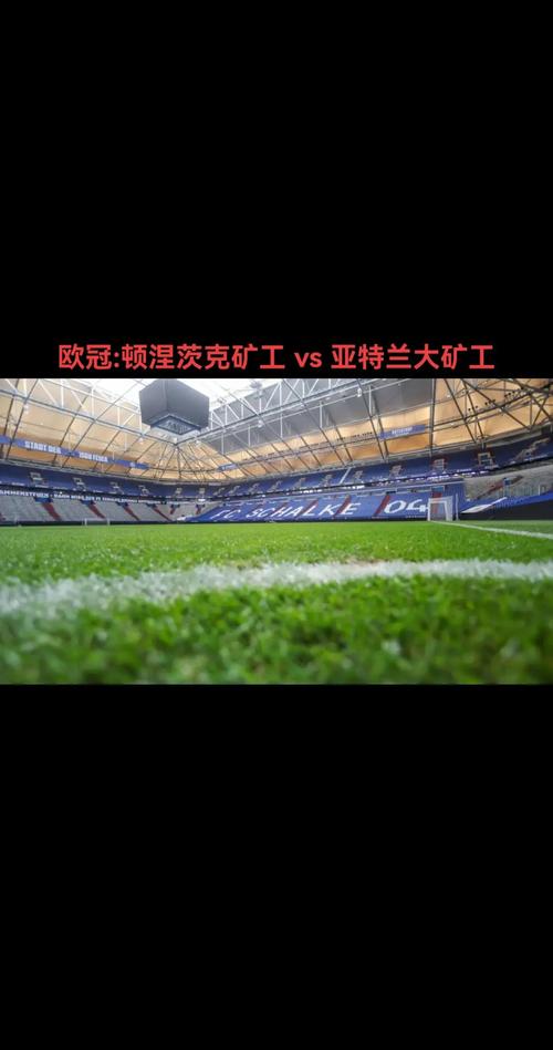 顿涅茨克矿工主场搬迁到哪了图标