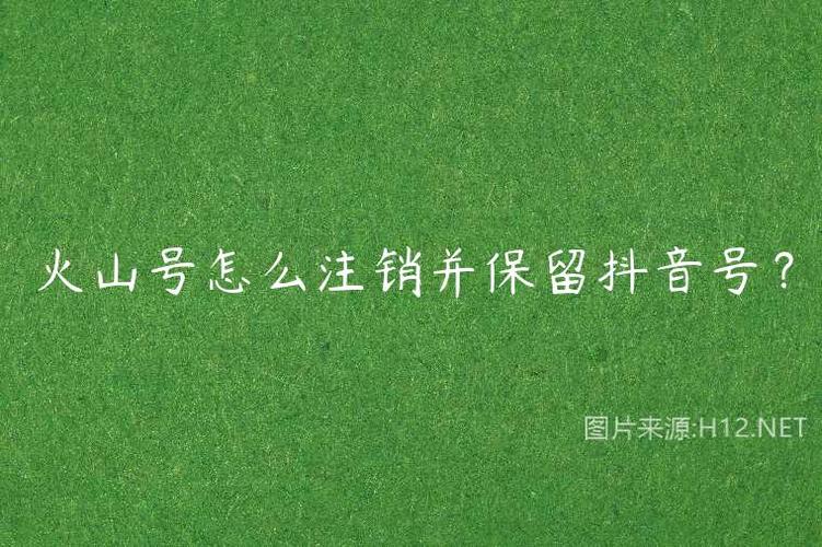抖音火山版注销账号图标