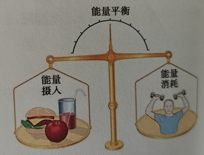 能量的平衡图标