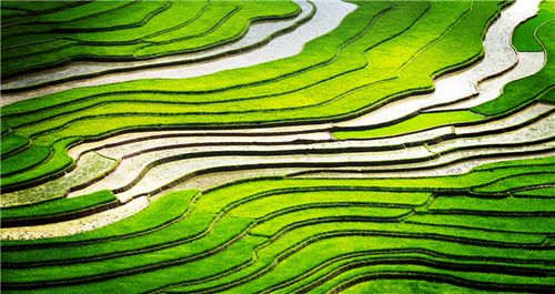 田园乐章图标