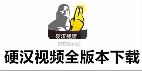 硬汉视频练就一番神之手下载旧版图标