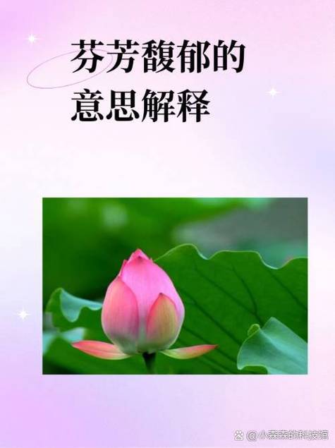 《芳香》图标