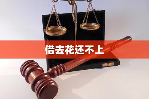 借去花是什么东西截图