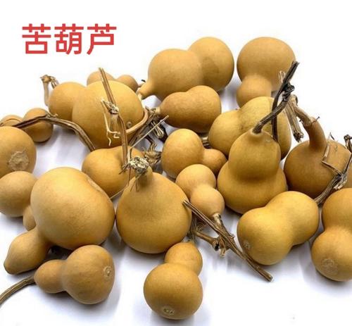 药葫芦学名叫什么截图