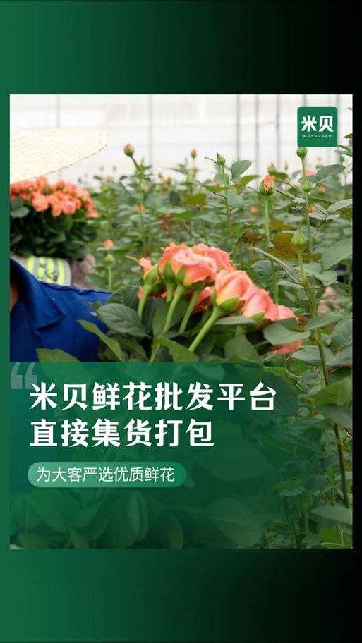 鲜花批发交易平台
