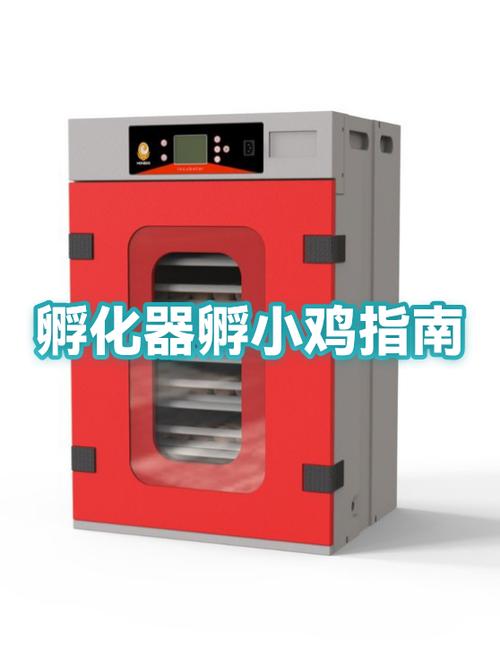 怎么孵化小鸡图标