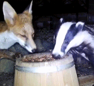 哪两种动物互惠互助图标