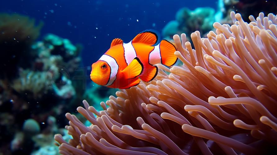 水族馆壁纸图标
