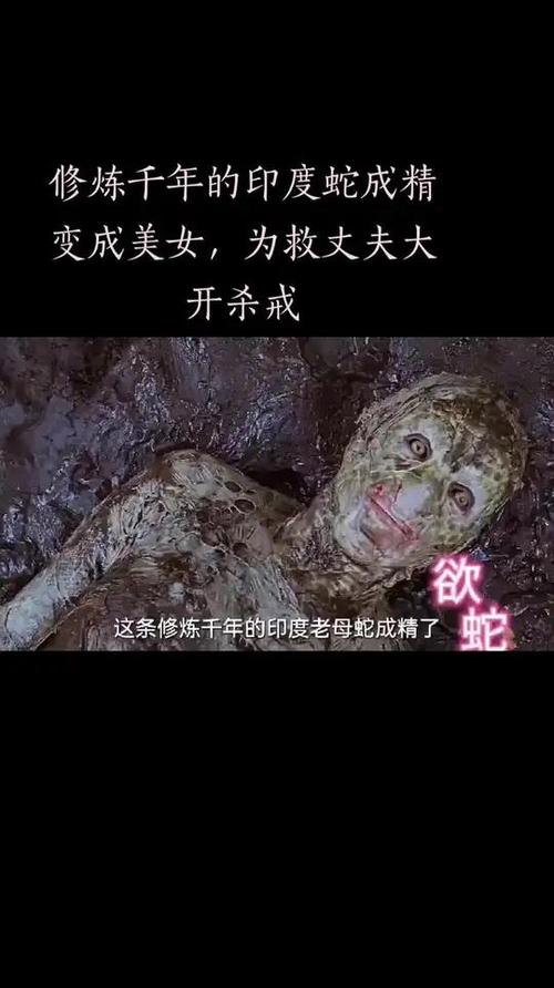 蛇在修炼成仙的过程截图