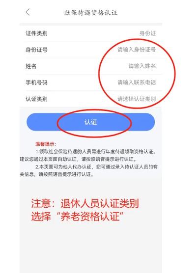 老年金认证怎么认证图标