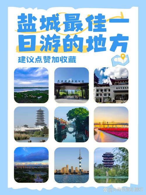 我的盐城官方版图标