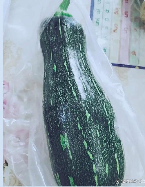 长条的青南瓜叫什么图标