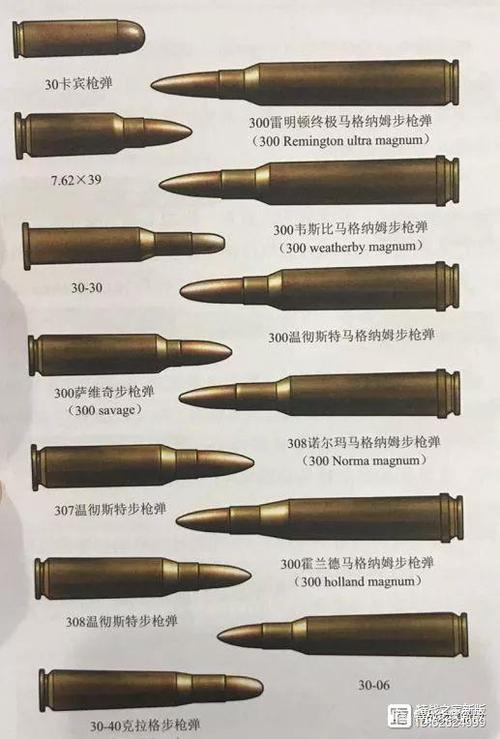 .45口径图标