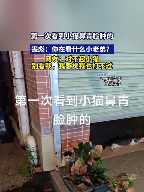 鼻青脸肿呲牙笑emoji