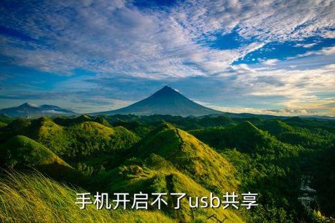 手机开启不了usb共享网络图标